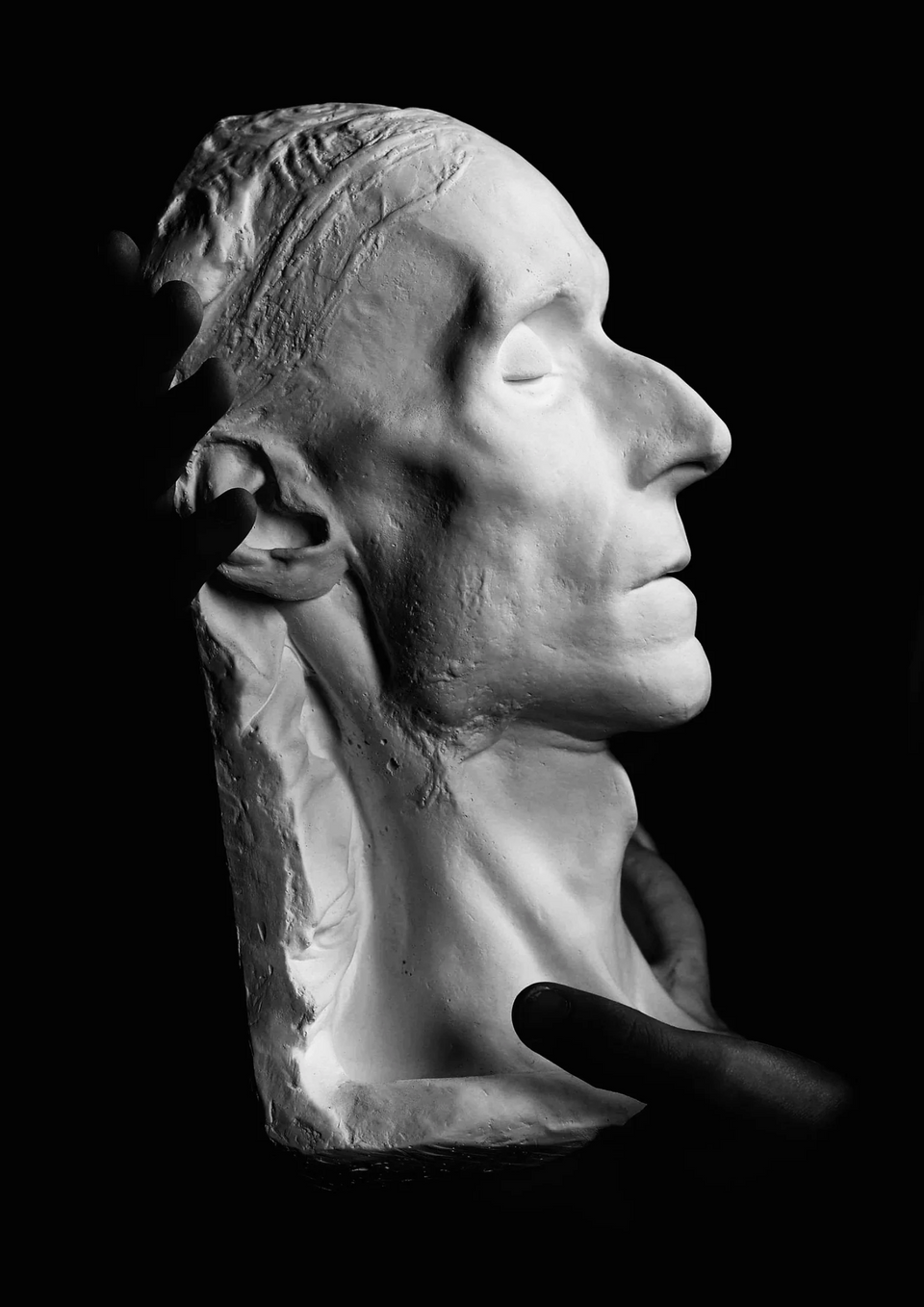 Buy Plaster Casts for Drawing – Nicholas H Wood