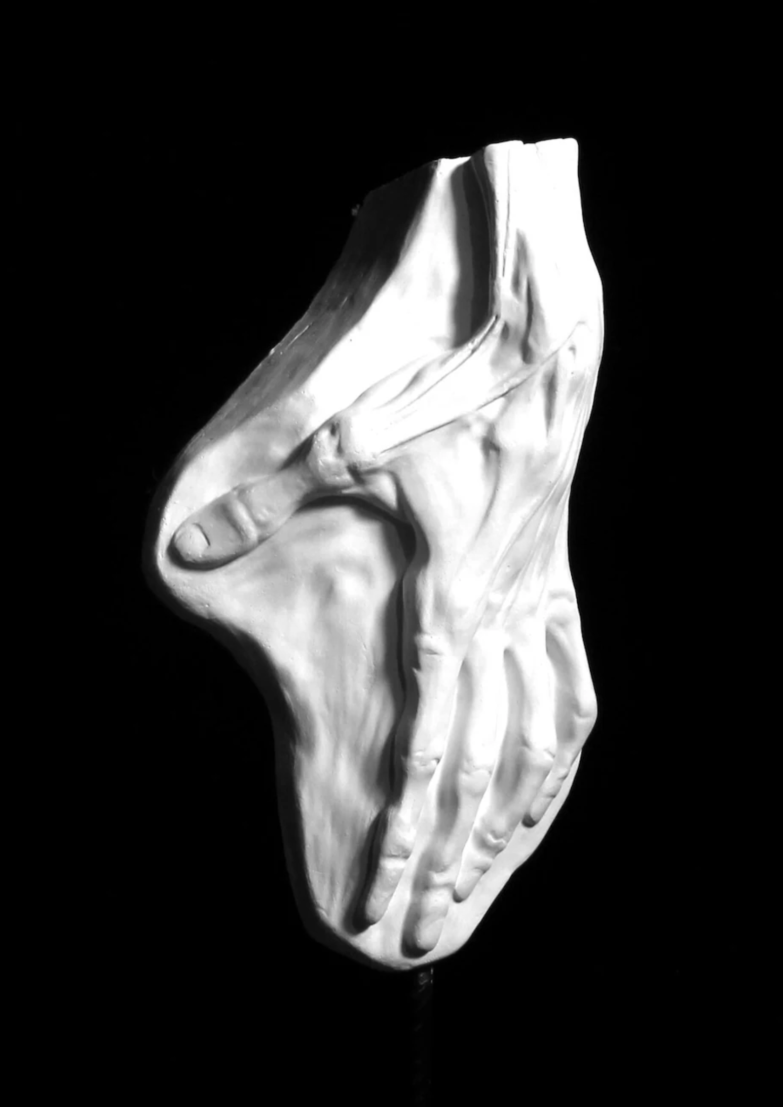 Anatomical Écorché Hand Plaster Cast Wall Sculpture – Nicholas H Wood