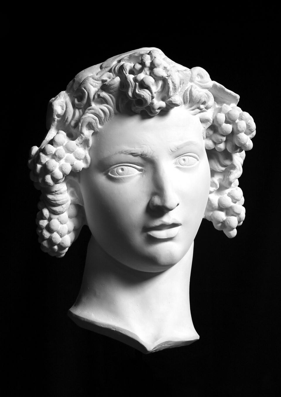 Buy Plaster Casts Online – Nicholas H Wood